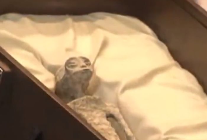 Shocking Video: इस देश की संसद में रखी गई Alien Dead Body, 1000 साल ...