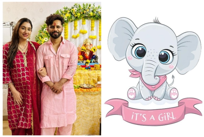 Disha Parmar Rahul Vaidya Share Heartfelt Post as They Welcome Baby ...