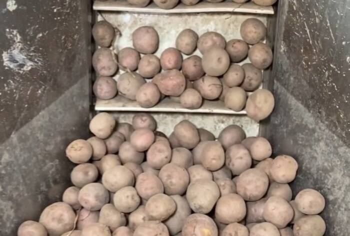 Video Of Potato Chips Being Made In A Factory Goes Viral