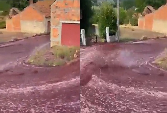 WATCH: River Of Red Wine Gushes through The Streets Of Portugal Town ...