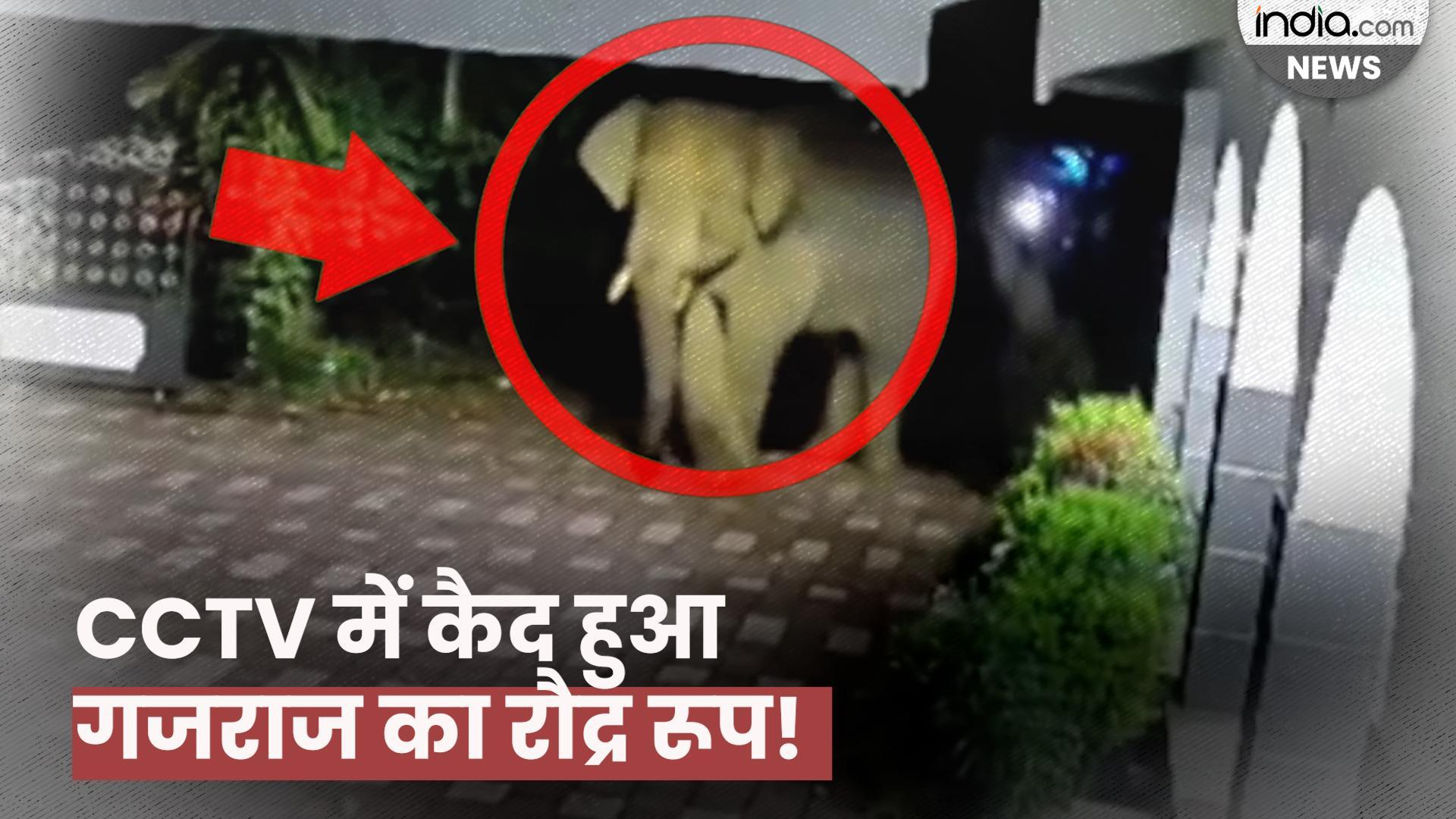 Elephant Attack: वन अधिकारियों पर जंगली हाथी ने किया हमला, वीडियो देख ...