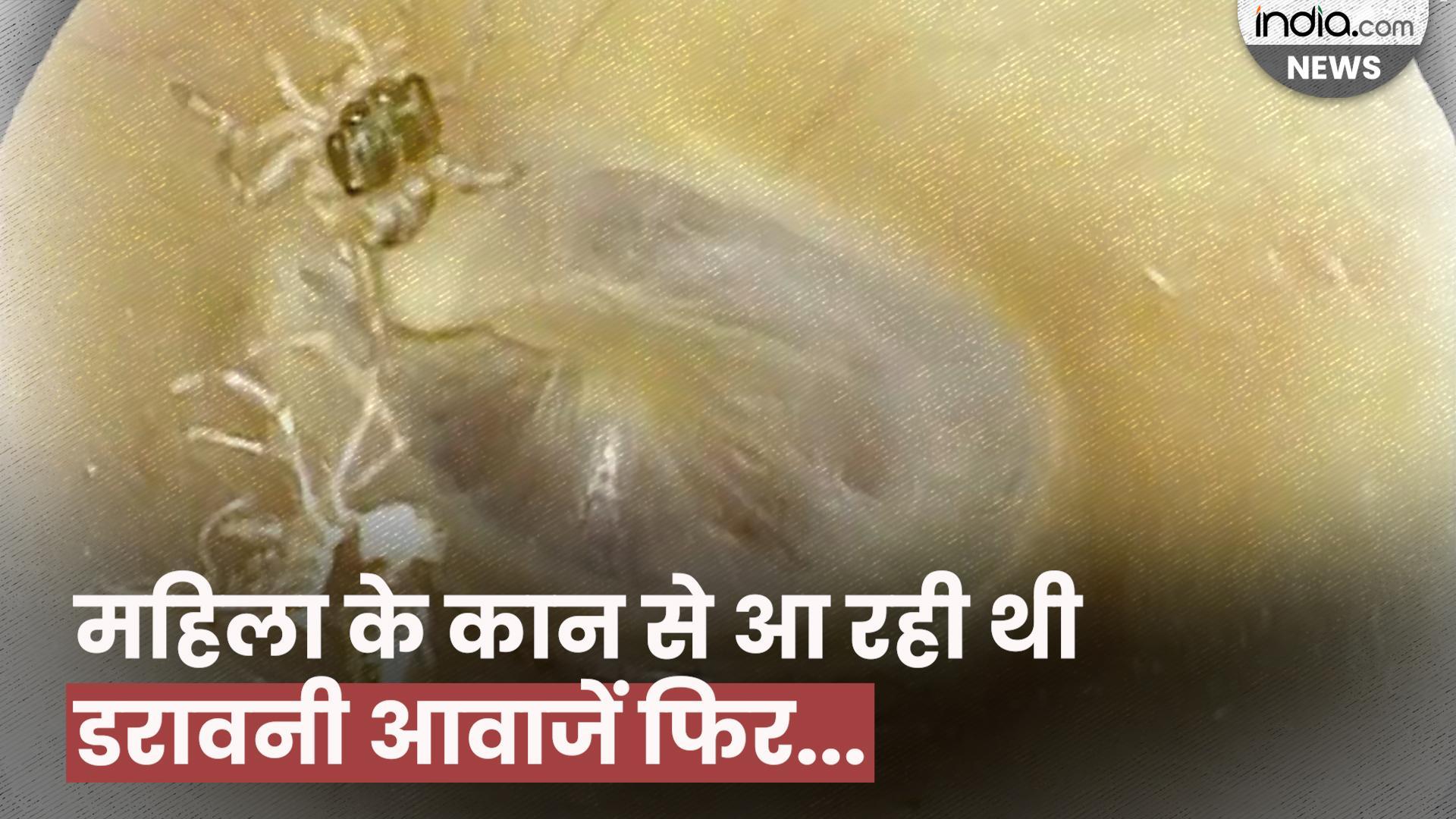 Viral Video: महिला के कान से आ रही थी अजीबों-गरीब आवाज, कान की जांच ...