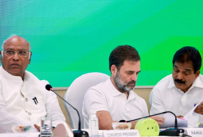 CWC Unanimously Supports Idea of Caste Census, Says Rahul Gandhi; Calls PM Modi Incapable of ...