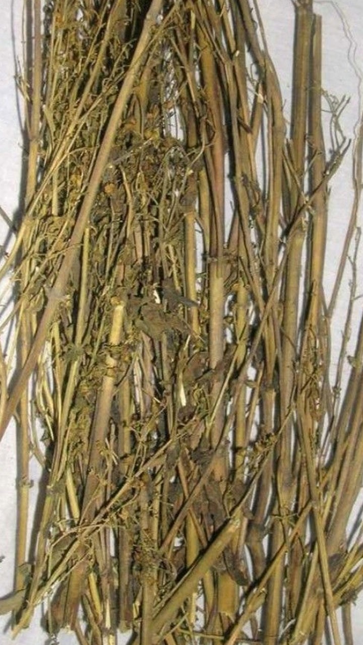 Top 10 Health Benefits of Chirata