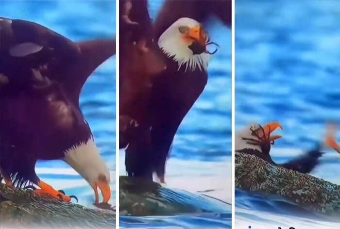 Bichoo Ka Video: चोंच में मछली की जगह फंस गया बिच्छू, फिर ऐसी डंक मारी ...