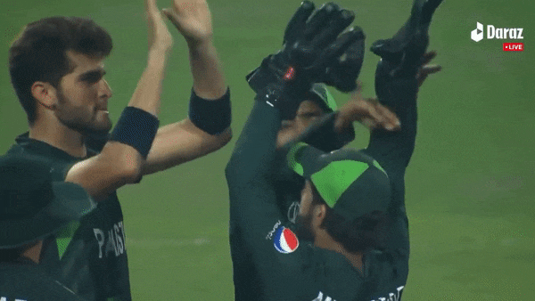 WATCH: विश्व कप से बाहर हुआ पाकिस्तान, मैदान पर शाहीन-रिजवान से भिड़े ...