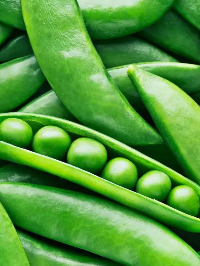 6 Health Benefits of Green Peas In Winter