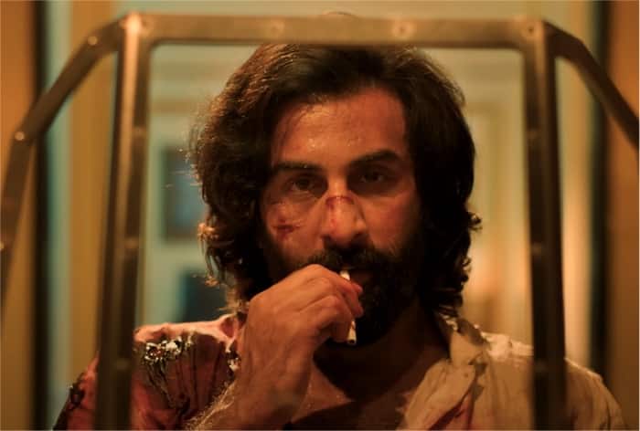 Decoding Animal Song ‘Arjan Vailly’, Here’s The Meaning And Translation ...