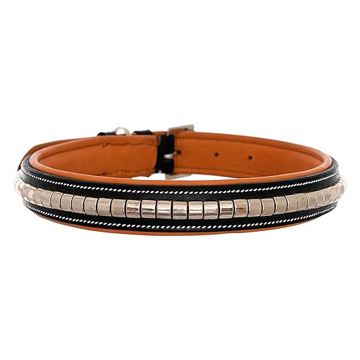 Check These Amazing Dog Neck Bands At 53% Off On Amazon! CHECK HERE
