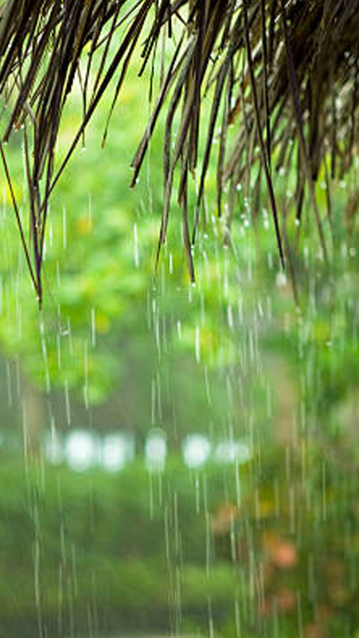 Weather Alert: Heavy Rains to Lash These States Till Nov 7
