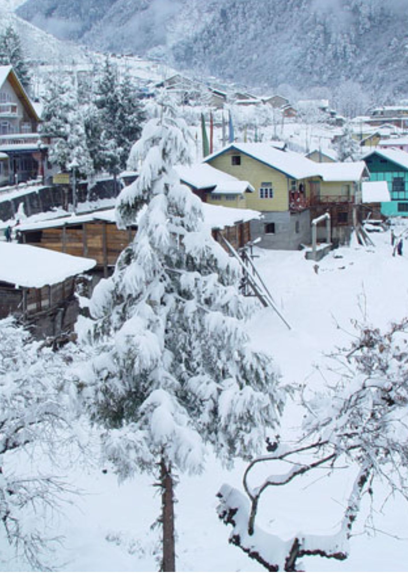 Explore India’s Top 8 Snowfall Places to Visit in Winter