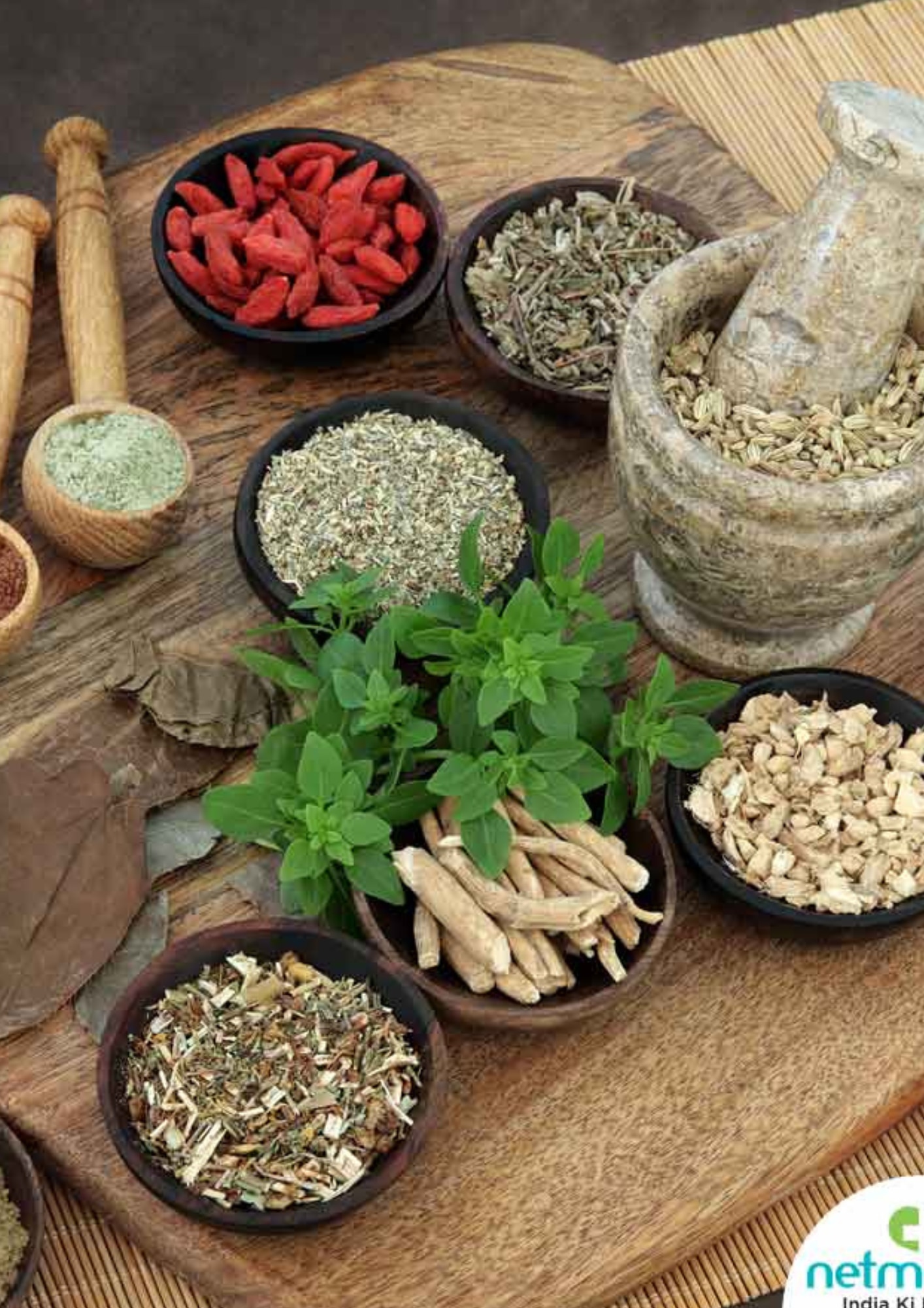 Top 8 Herbs to Cure Gut Problems Top 8 Herbs to Cure Gut Problems