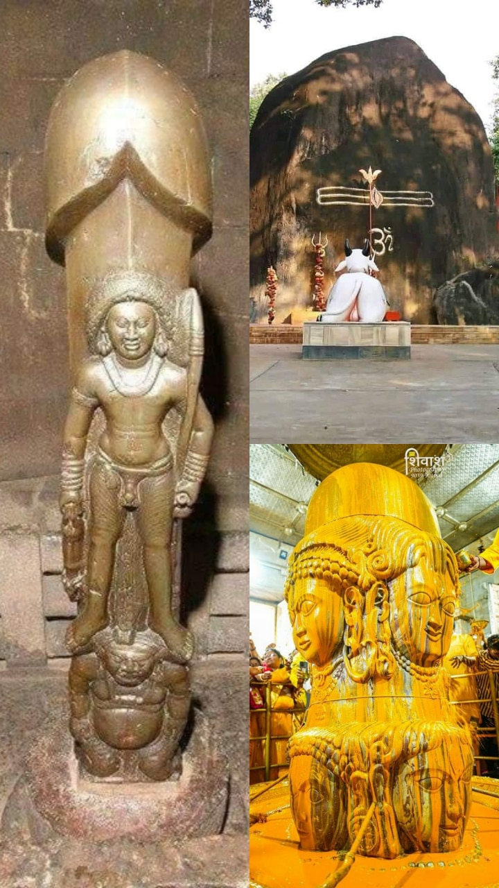 10 Extremely Rare Shiva Lingas Found In India