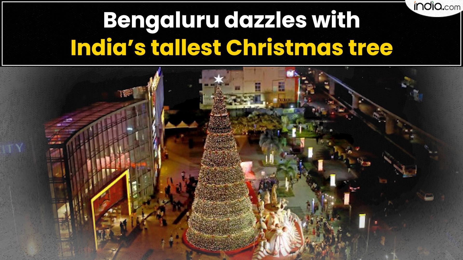 Bengaluru dazzles with India’s tallest, 100-ft tall Christmas tree ...