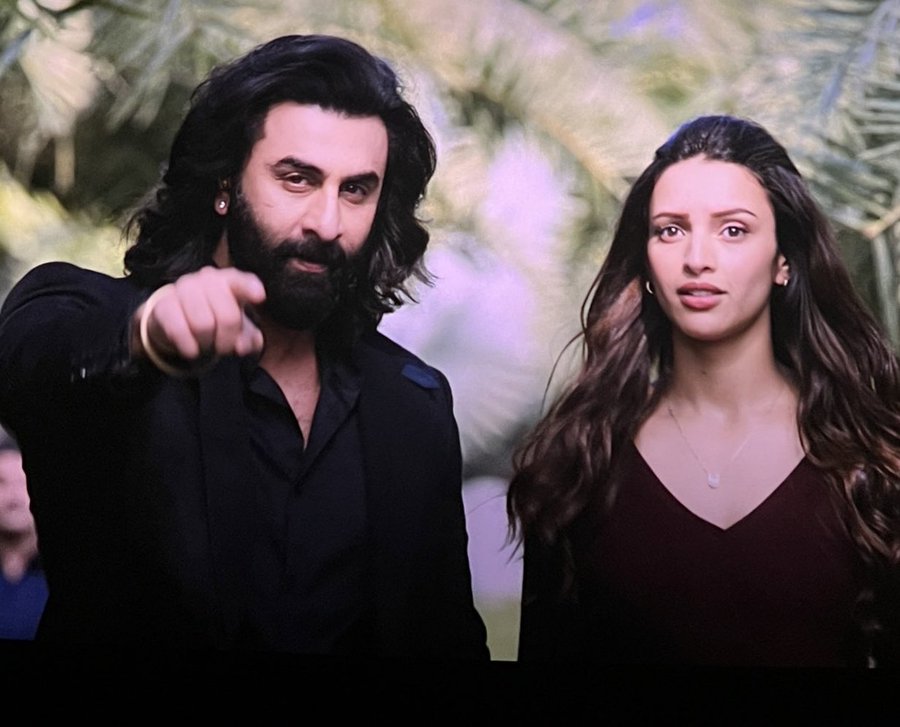 Animal Worldwide Box Office Collection Day 4: Ranbir Kapoor’s Film is ...