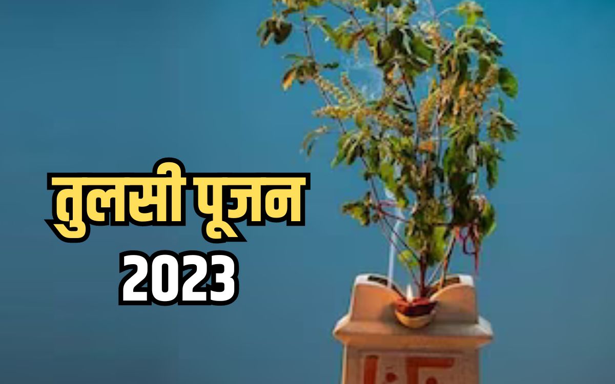 Tulsi Pujan Diwas 2023: तुलसी पूजन दिवस के दिन इन बातों का रखने का ध्यान, साथ ही जानिए पूजा महत्व
