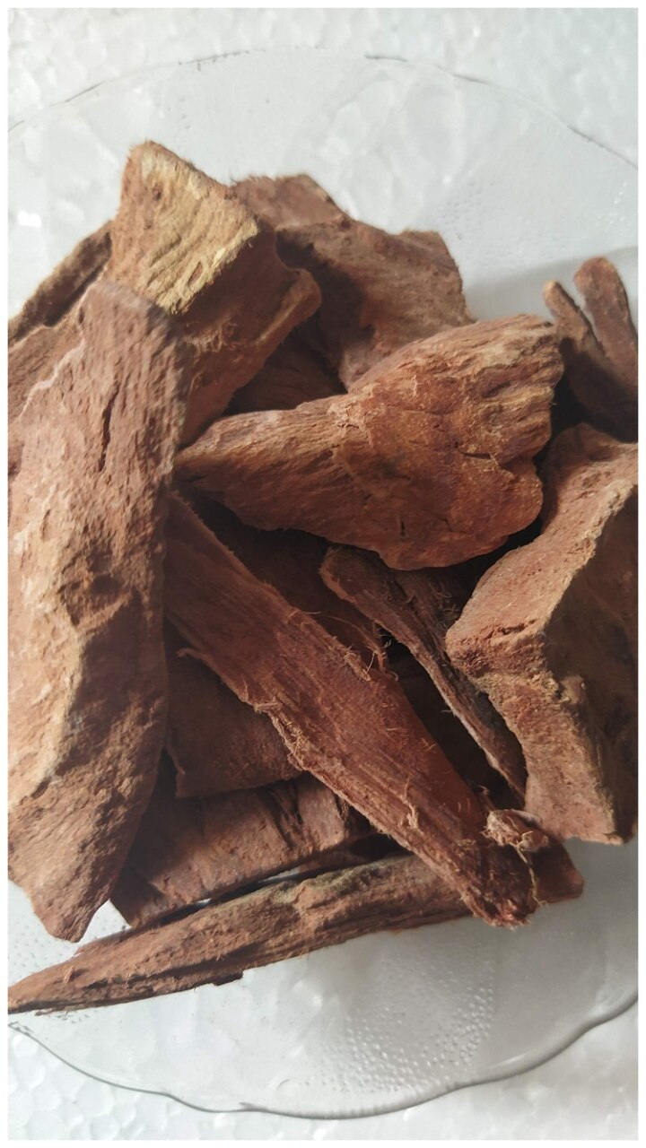 Arjun ki Chaal: हाई BP और गैस में लाभकारी है अर्जुन की छाल