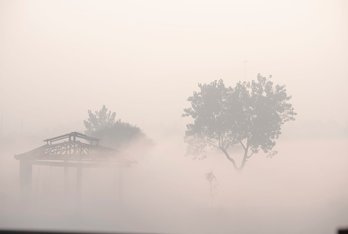 Weather Update: Dense Fog Persistent In Delhi-NCR, IMD Predicts Foggy ...