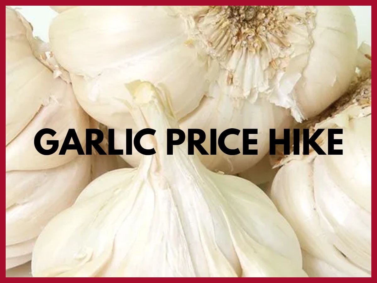 Garlic Price Hike: प्याज और टमाटर के बाद अब लहसुन भी दिखाने लगा ताव ...