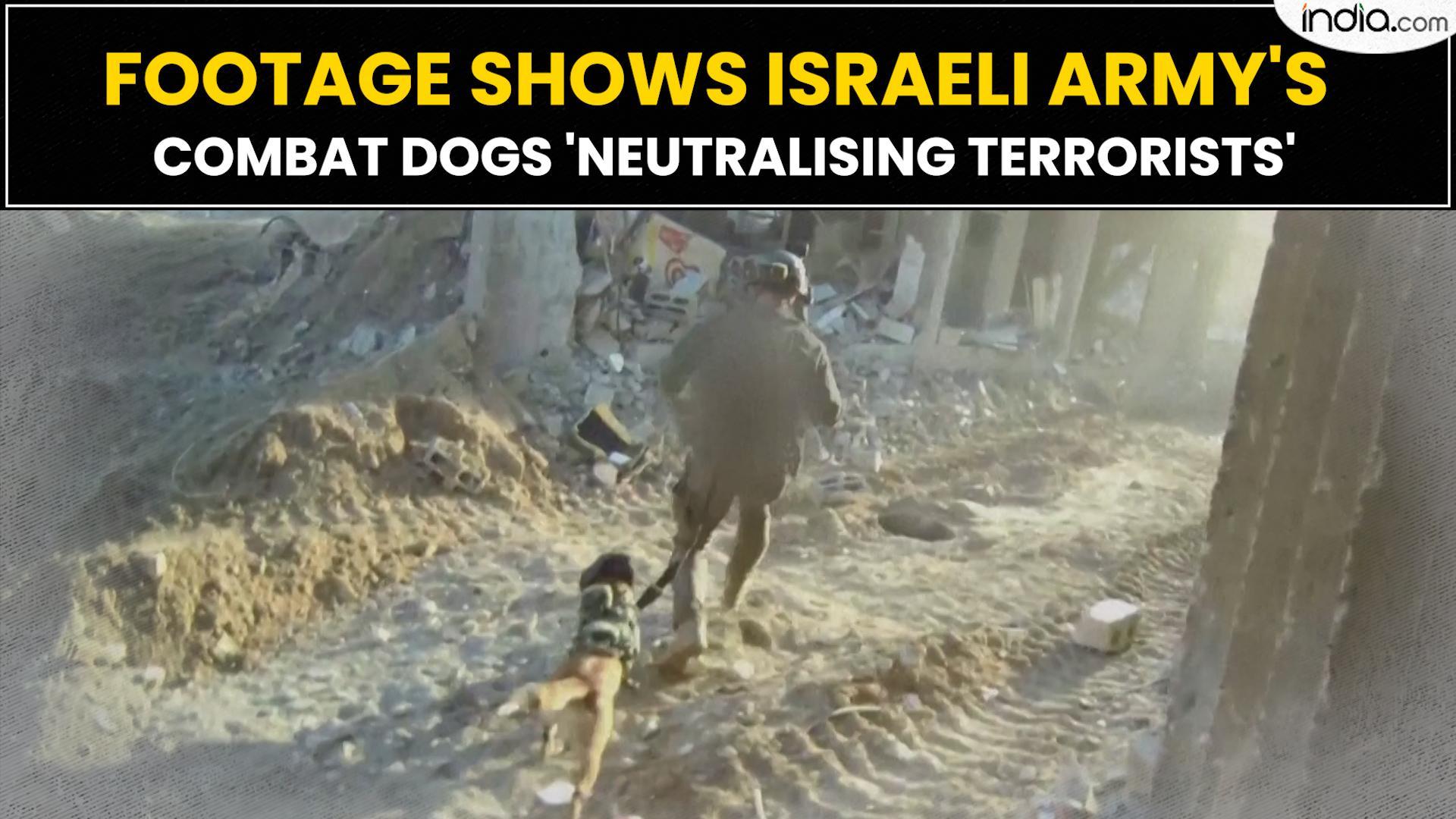 Shocking footage shows Israeli army’s combat dogs neutralising Hamas ...