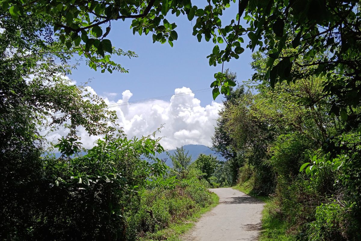 Uttarakhand Travel Diaries : A Visit To The Land Of Chamoli, Where ...