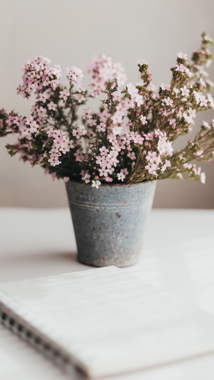 6 Flowers Students Must Have On Their Study Table