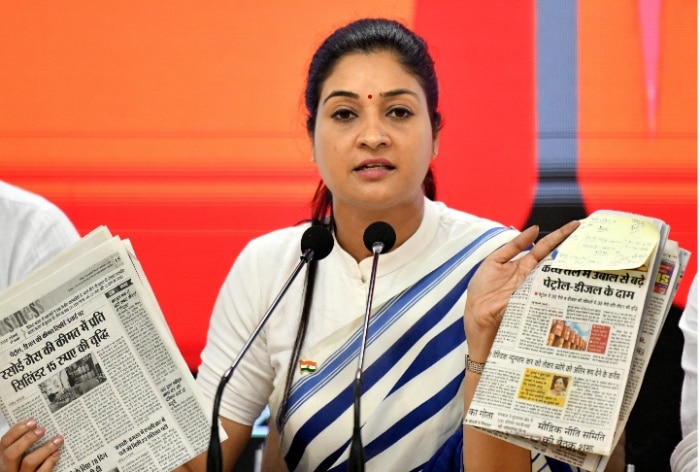 LS Polls: Congress Names Alka Lamba As Women's Wing Chief, Announces ...