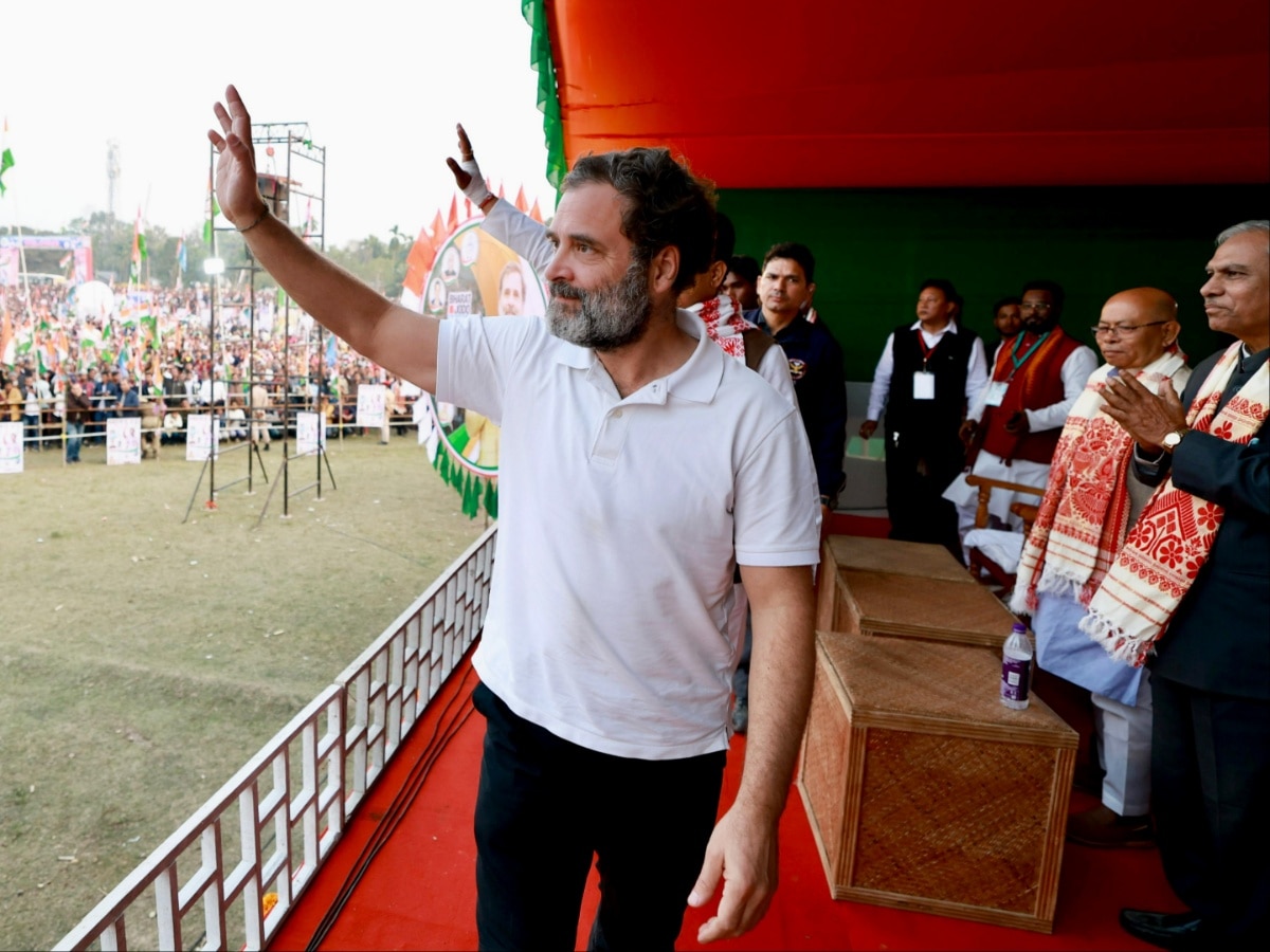 Lok Sabha Polls: Rahul Gandhi Will Contest From Wayanad, Says Congress ...