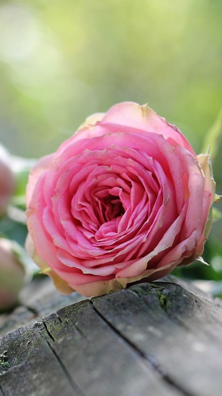 10 Pearls Of Wisdom From Holy Quran