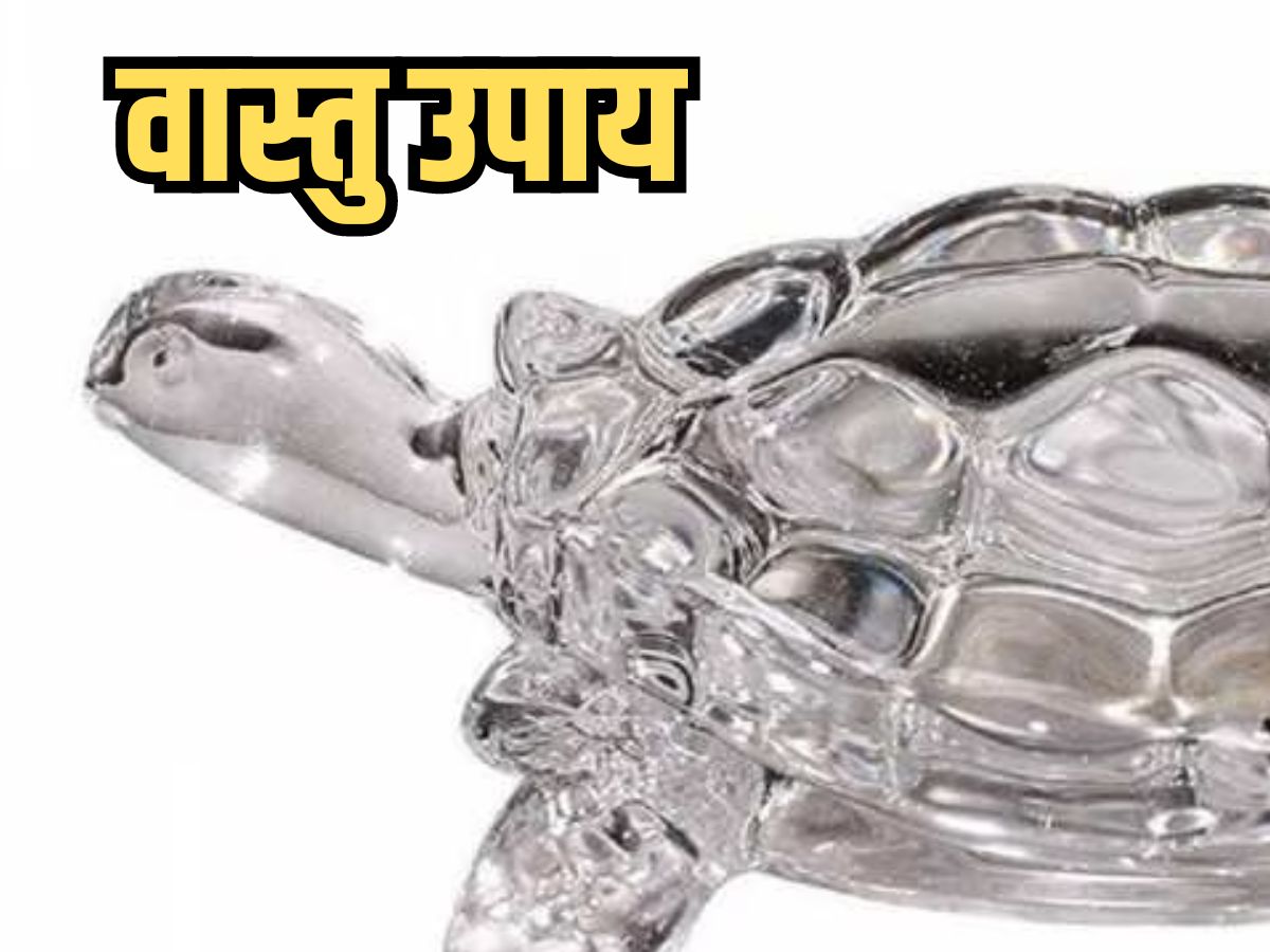 Vastu Tips for Finance: घर-परिवार में धन आकर्षित करने के लिए जरूर ले ...