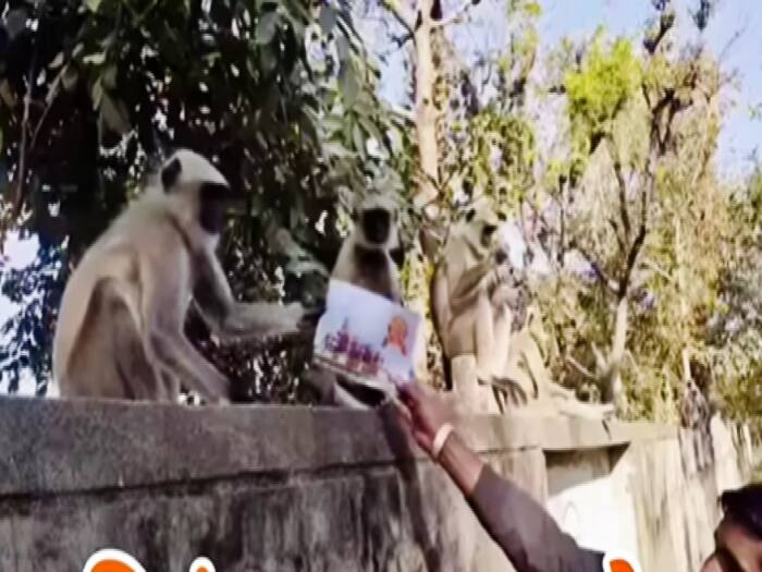 Bandar Ka Video: अयोध्या का निमंत्रण मिलते ही बंदर ने दिया चौंकाने वाला ...