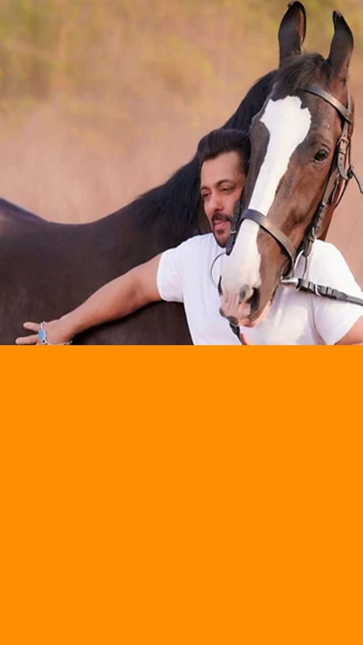 Inside Salman Khan's Panvel Farmhouse Where 2 Men Entered With Fake Ids