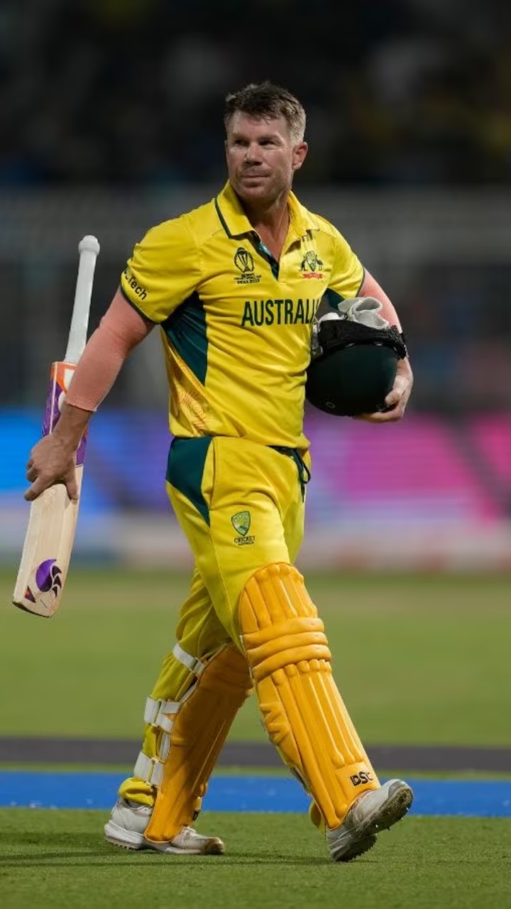 David Warner Stats And Records