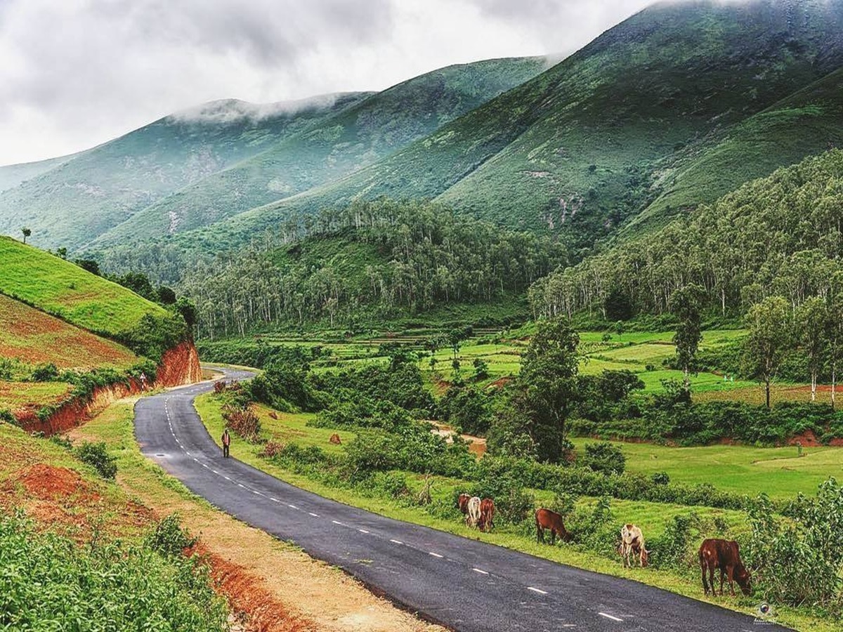 Odisha Gupteswar Forest: ओडिशा का गुप्तेश्वर वन विरासत स्थल घोषित ...