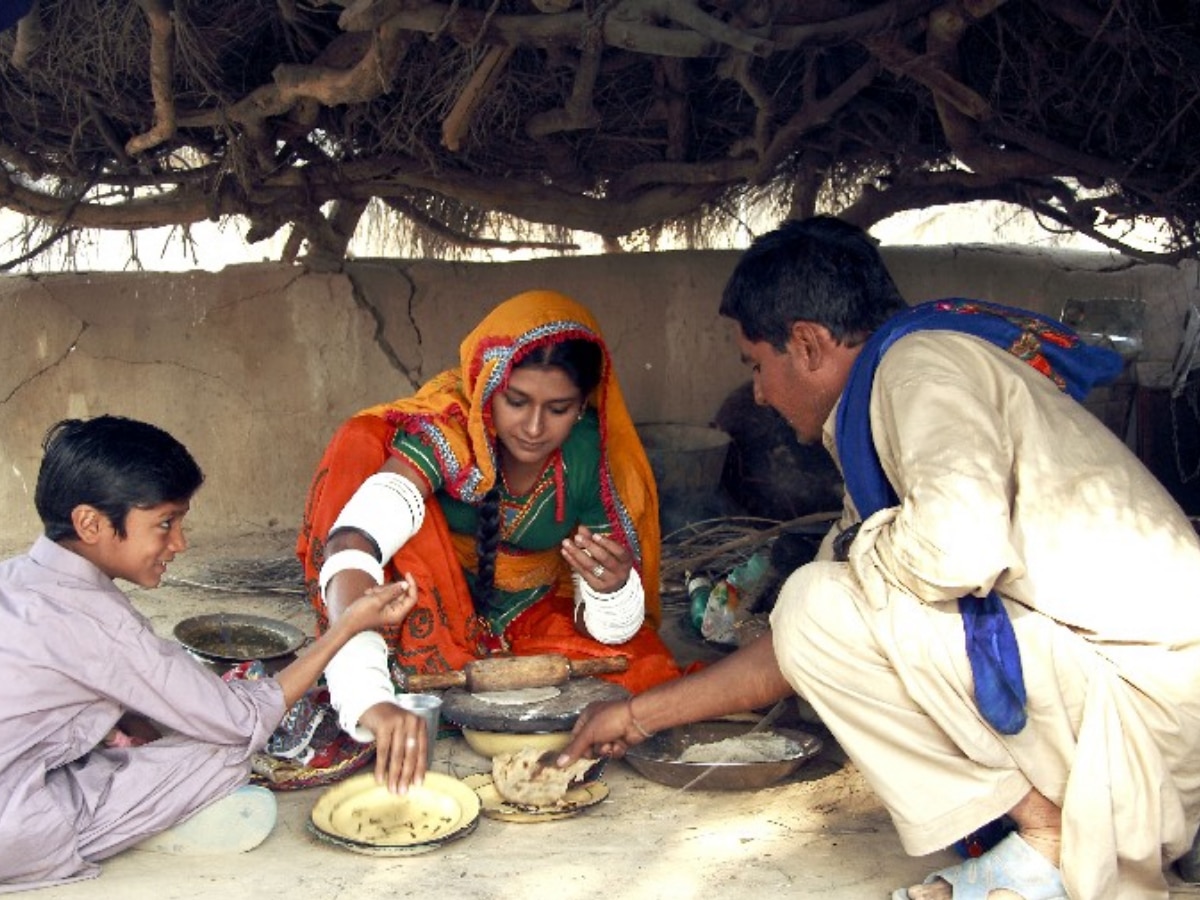 पाकिस्तान की ये Top 10 फिल्‍में बॉलीवुड को देती हैं टक्कर, 2 में तो ...