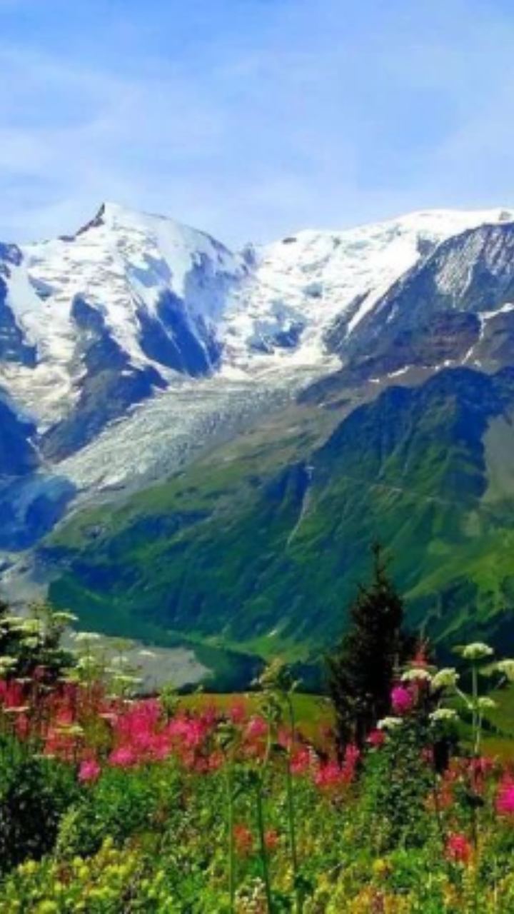 From Auli To Chopta: Top 10 Best Places To Visit In Uttarakhand