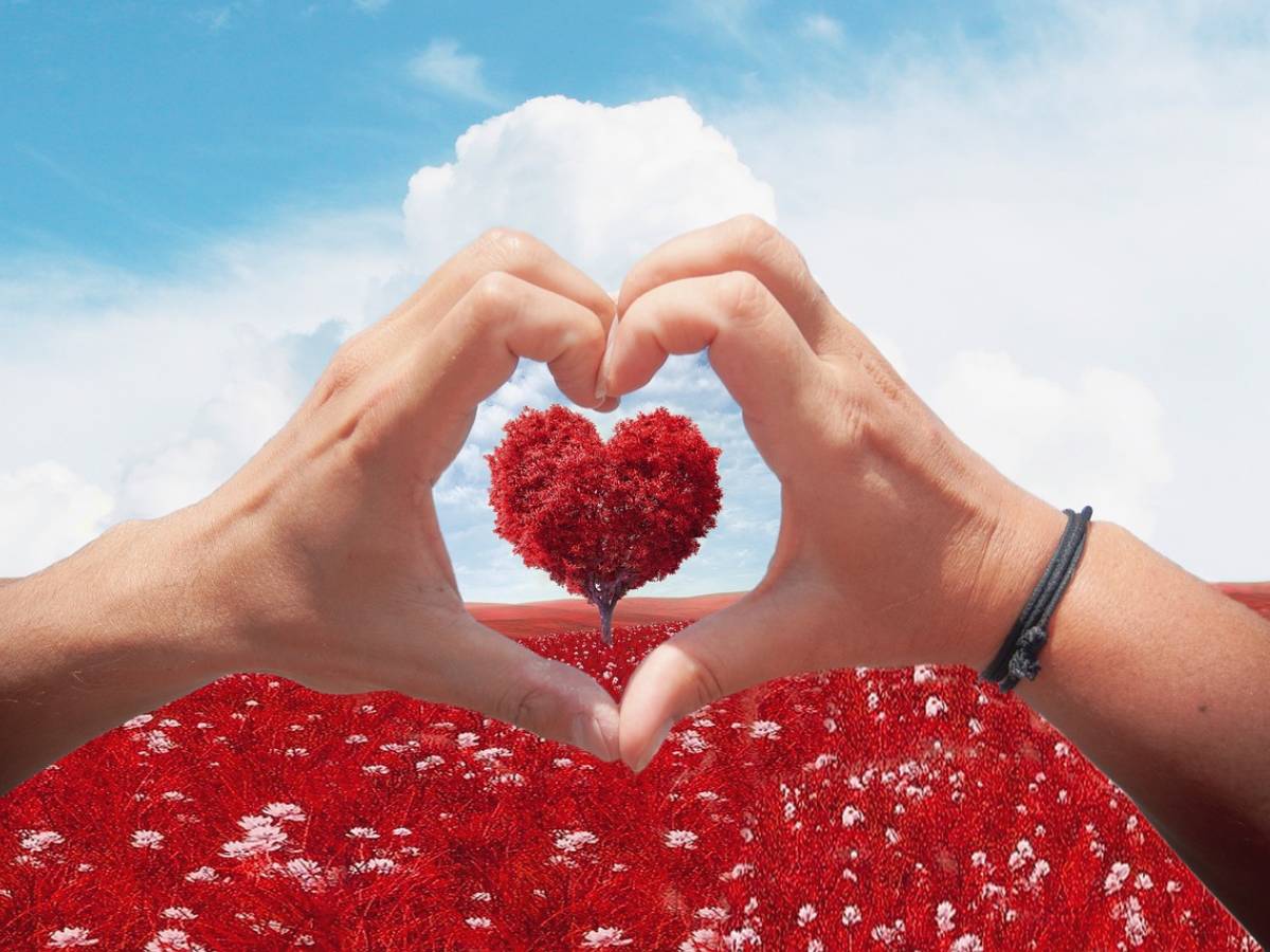 Valentine Day 2024: रिश्ते में बढ़ रही हैं दूरियां तो वैलेंटाइन डे के ...