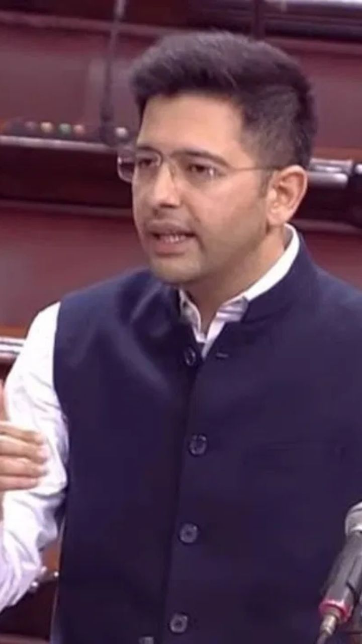 Raghav Chadha Educational Qualification
