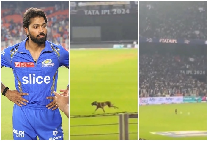 Hardik, Hardik Chants Erupt When Dog Enters Stadium During GT vs MI IPL ...