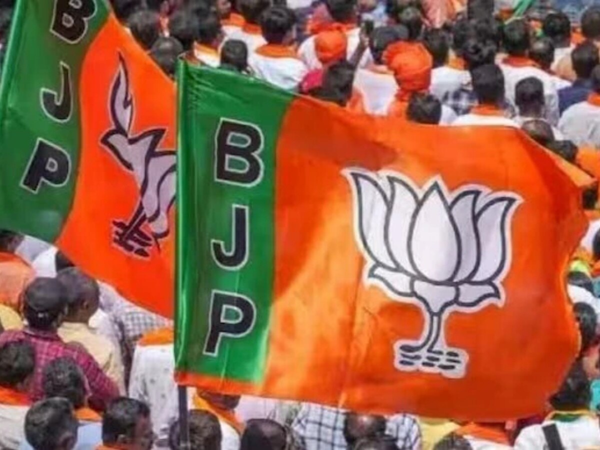 Lok Sabha Polls: BJP Announces 15 Candidates For Tamil Nadu, Puducherry ...