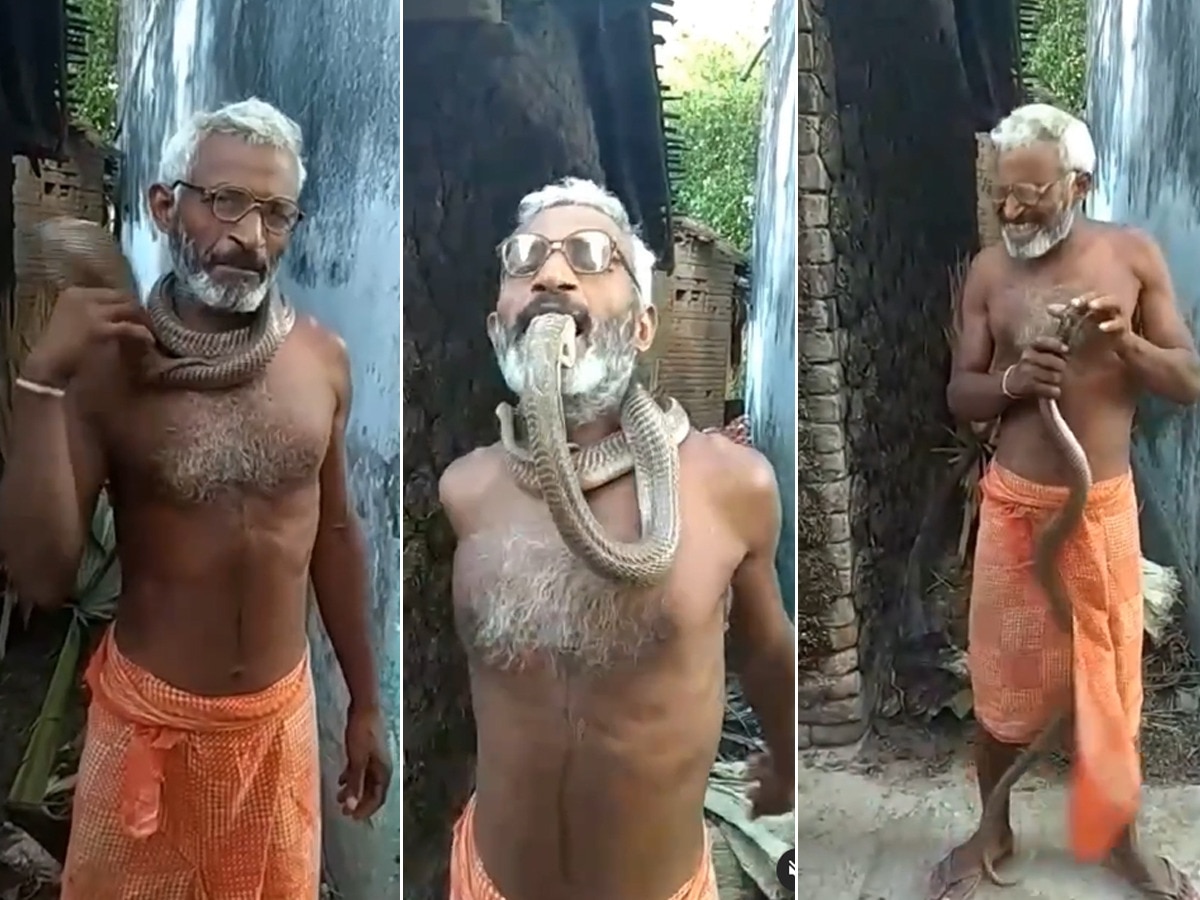 Chachaji Ka Video: किंग कोबरा को ही दांत काटने लगे चाचाजी, फिर जो हुआ ...