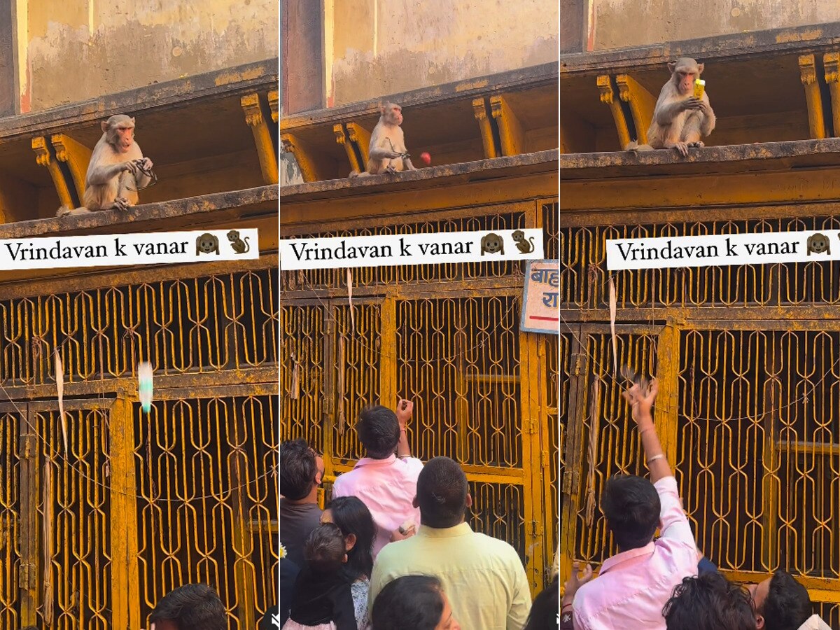 Bandar Ka Video: बंदर ने चश्मे के लिए की ऐसी डील हिल गया बंदा, नजारा ...