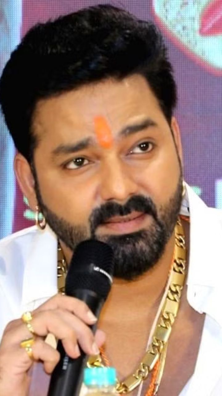 Pratigya to Satya, Bhojpuri Singer Pawan Singh's Hit Films