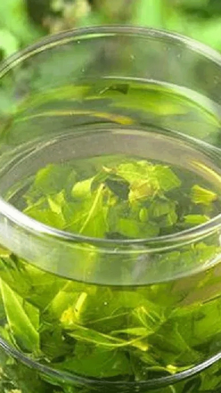 Tulsi Water Benefits: रोज़ सुबह पीएं तुलसी का पानी, बेजोड़ हैं फायदे