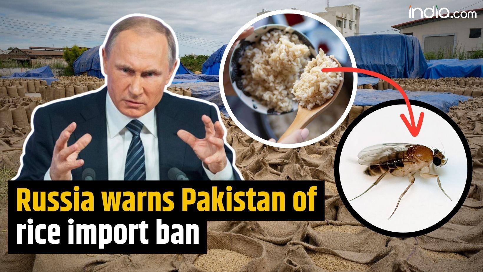 Russia warns Pakistan of banning rice imports over safety concerns ...