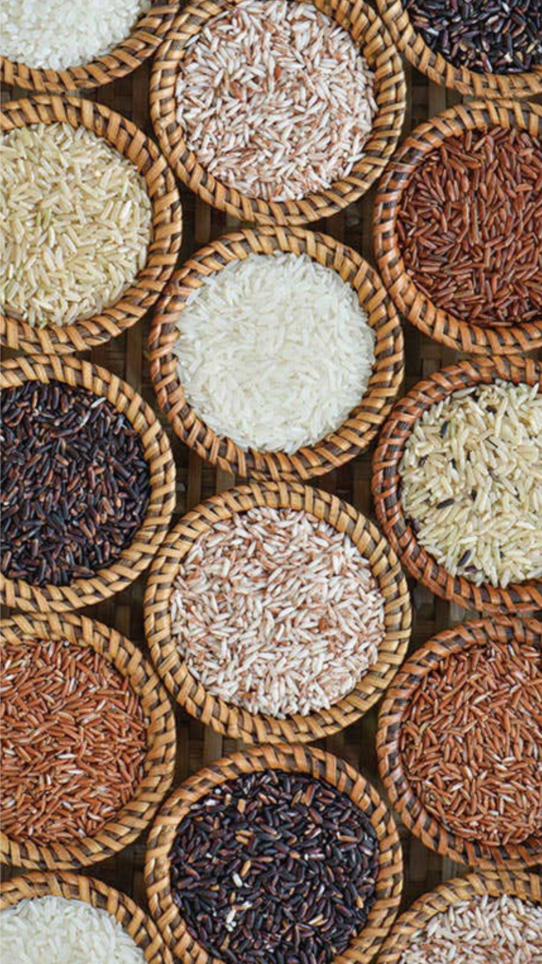 5 Indian Rice Varieties to Elevate Your Meals