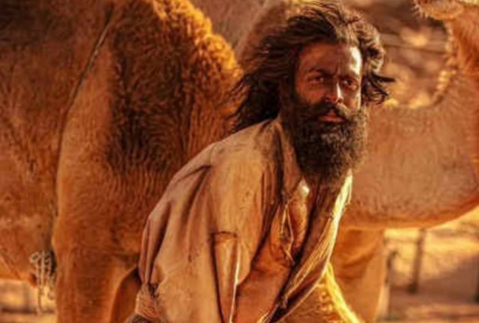 Aadujeevitham – The Goat Life Box Office Collection Day 5: Prithviraj ...