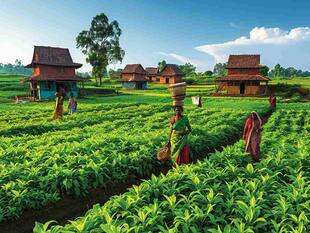 Ranchi Tourism | Ranchi Tourist Places | Ranchi Travel Guide | Ranchi ...