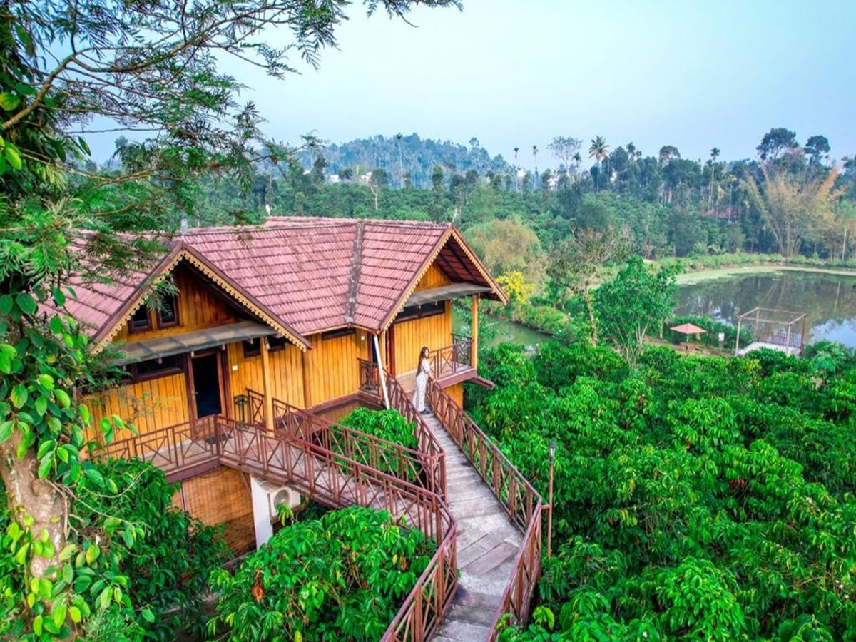 Wayanad Photos: तस्वीरों में देखिये वायनाड की खूबसूरती, राहुल गांधी ...