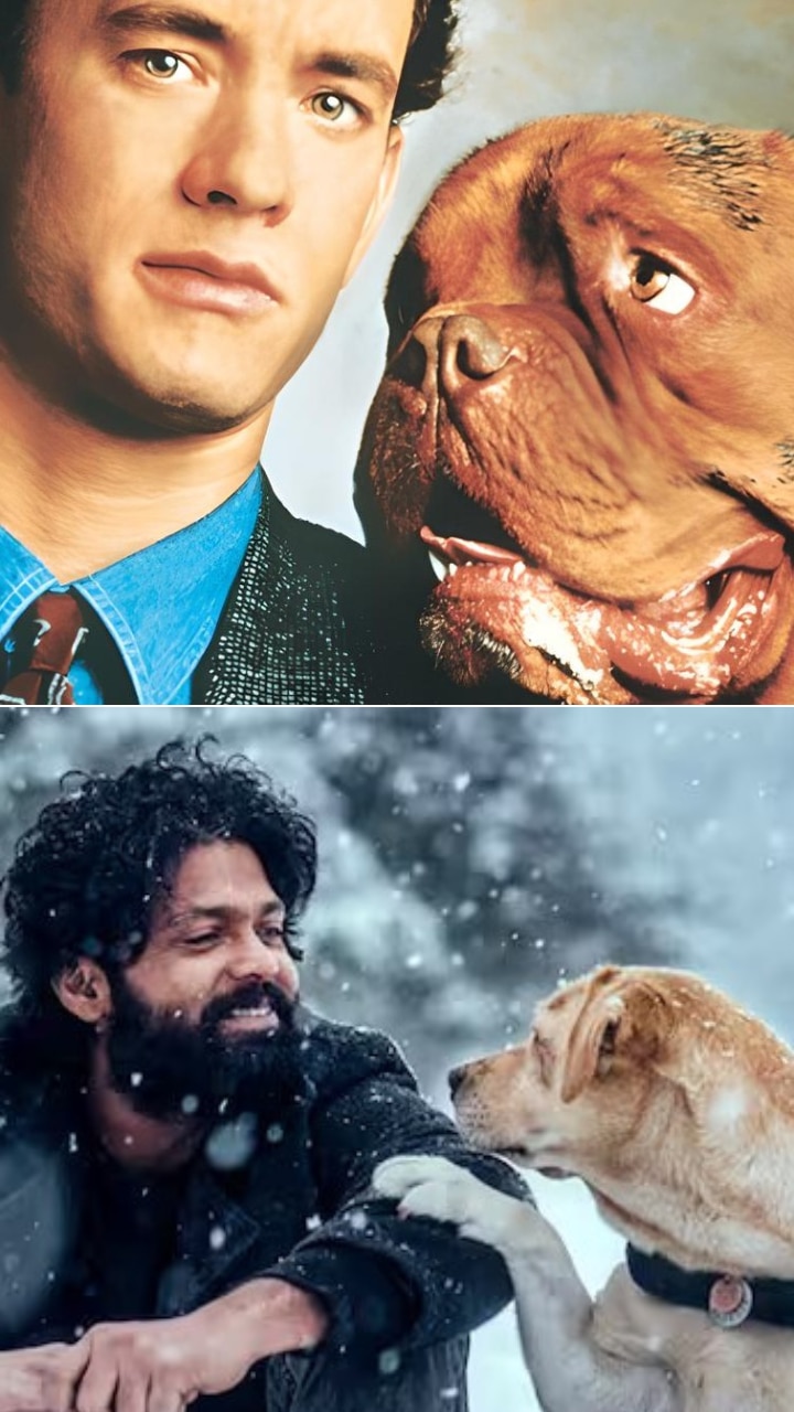 8 Dog Movies That Will Melt Your Heart